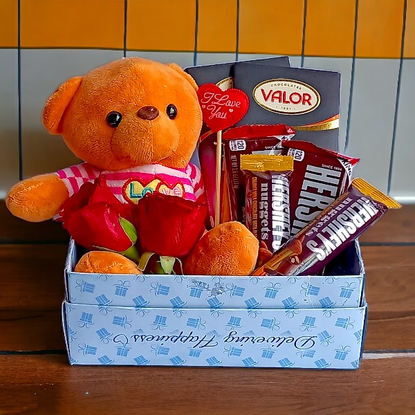 Chocoholics Cuddle Package | Gifts to Nepal | Giftmandu