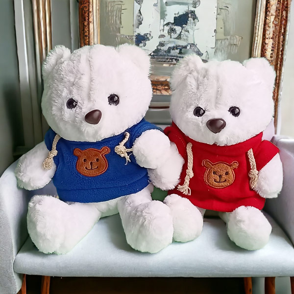Pair of Adorable Teddy Bears Combo | Gifts to Nepal | Giftmandu