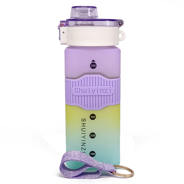 500ml Frosted Water Bottle- Purple & Sky Blue | Gifts to Nepal | Giftmandu