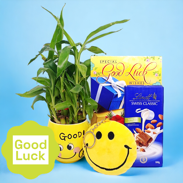 Good Luck Hamper - Bamboo Plant, Chocolate, Mug Combo | Gifts to Nepal ...