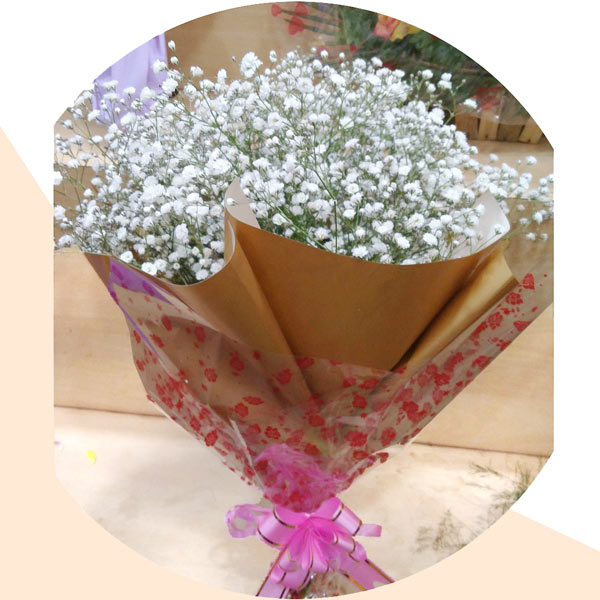 Gypsy Flowers Bouquet (Baby Breath Gypsophila Muralis) | Gifts to Nepal ...