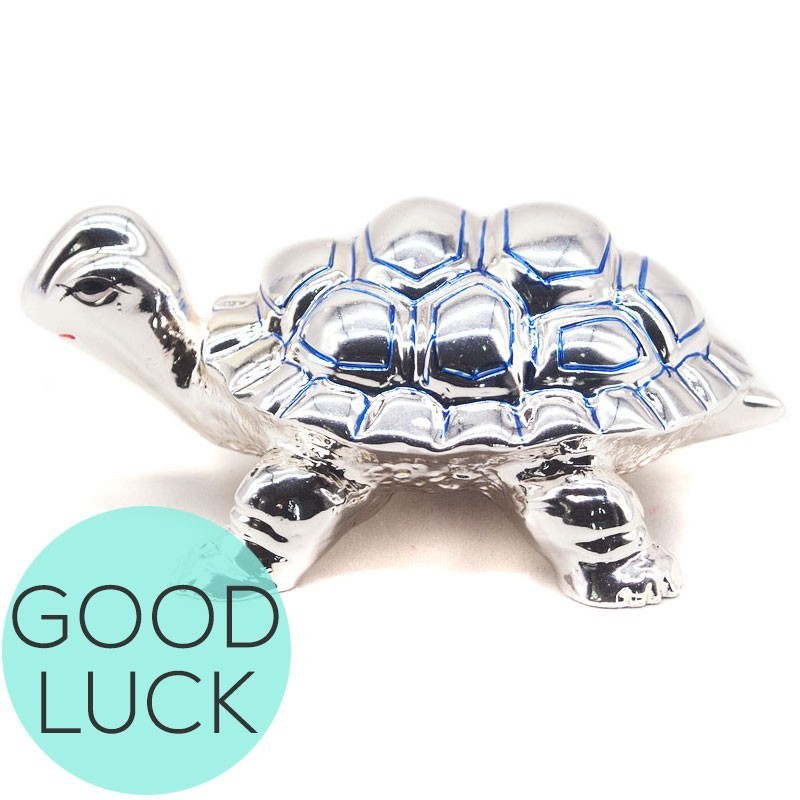 Buy Shiny Silver Plated lucky Tortoise- 3.5 | Gifts to Nepal | Giftmandu